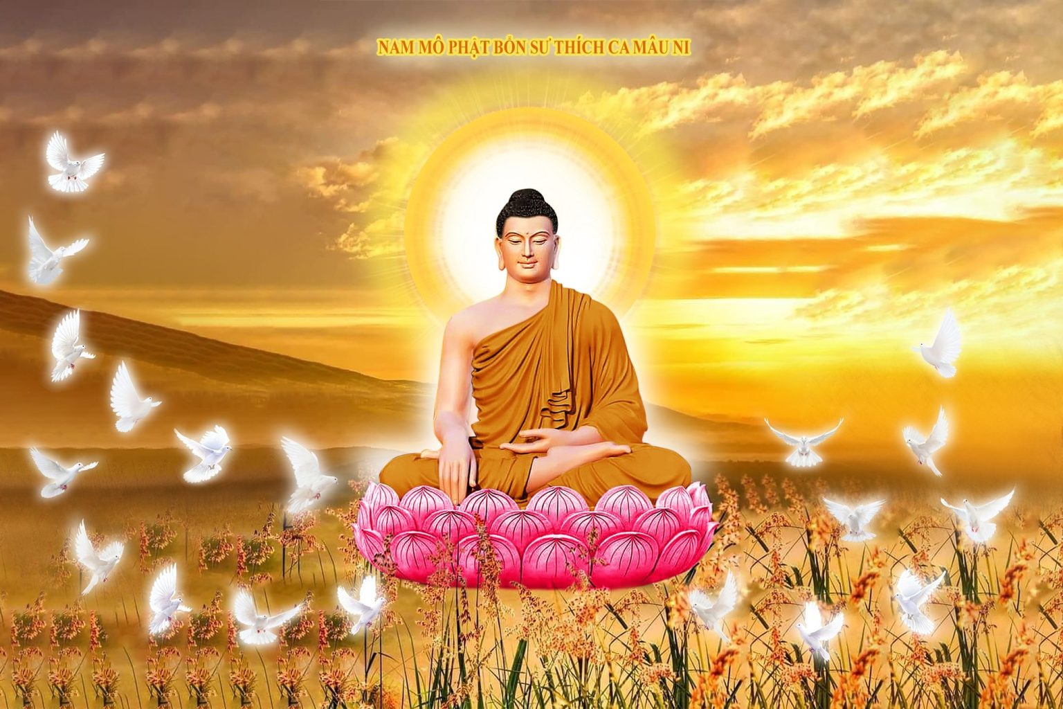 20+ Những hình ảnh giác ngộ đẹp nhất - Hình ảnh về Phật giác ngộ